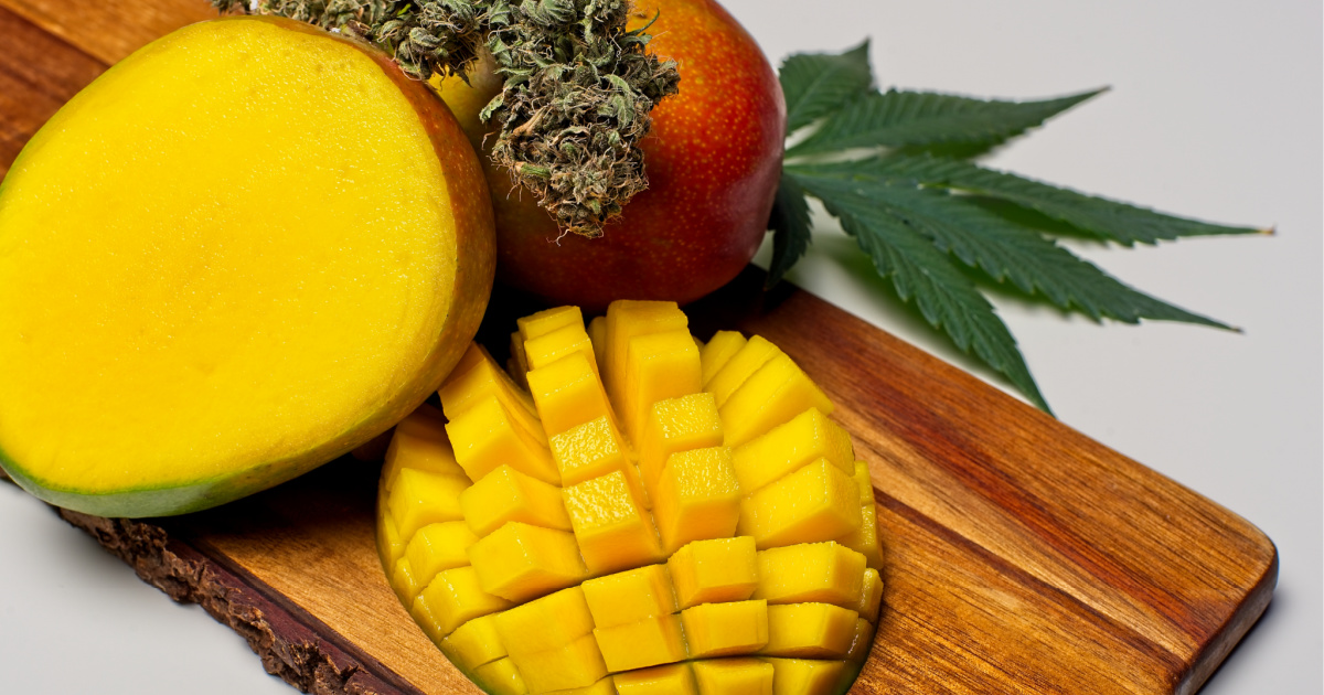 Myrcene is the Most Abundant Terpenes