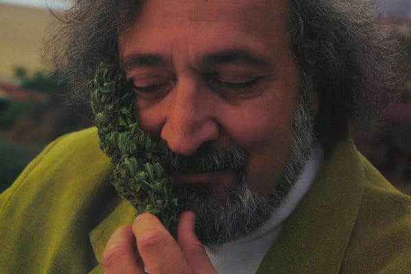 Jack Herer: Story of a Cannabis Activist & Icon | Green Goods