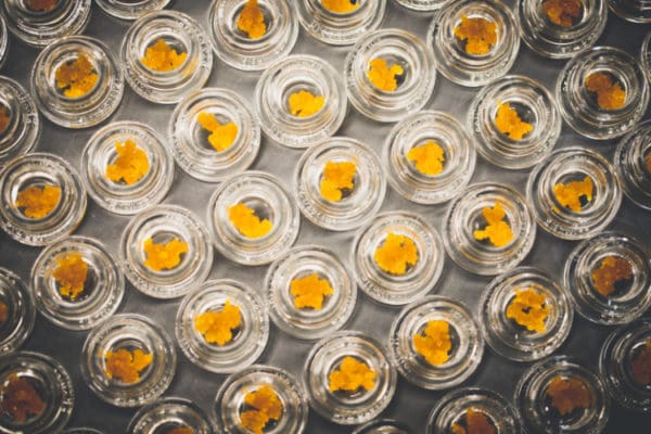 Smoking Dabs: The Hows and Whys of Dabbing THC | Green Goods